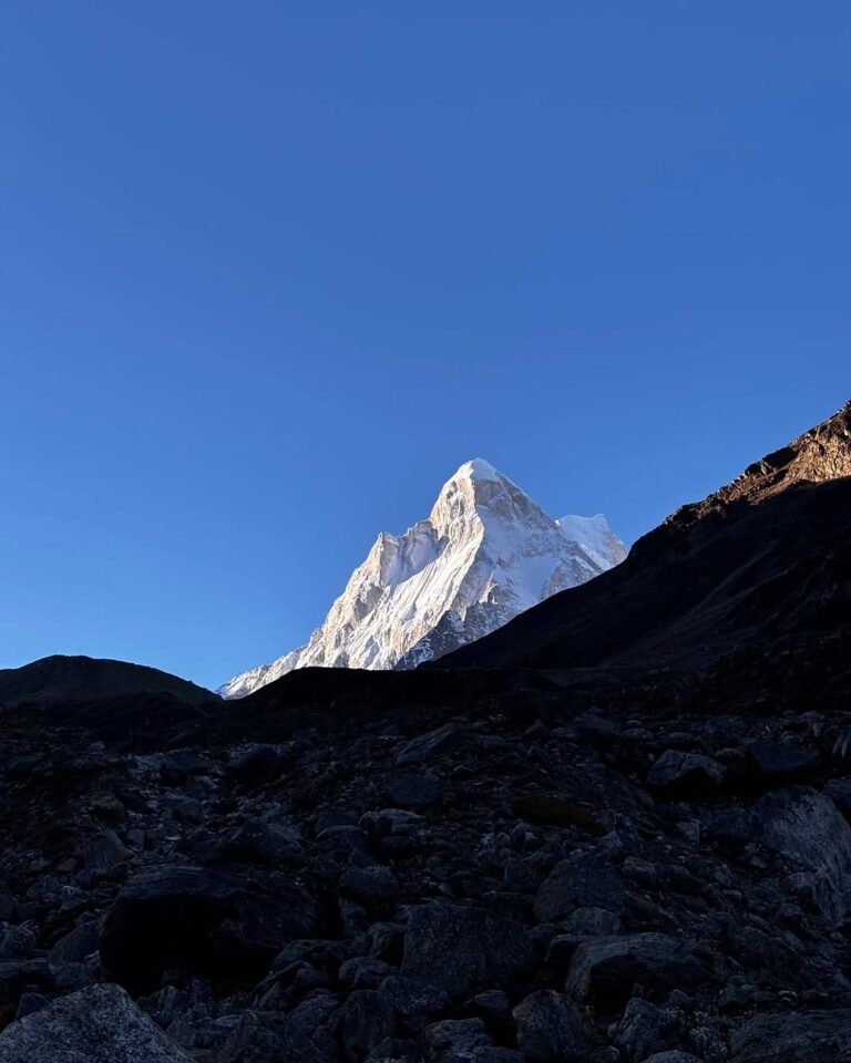 Gaumukh Tapovan Trek Pakage 2025 | Himalayan Tribe
